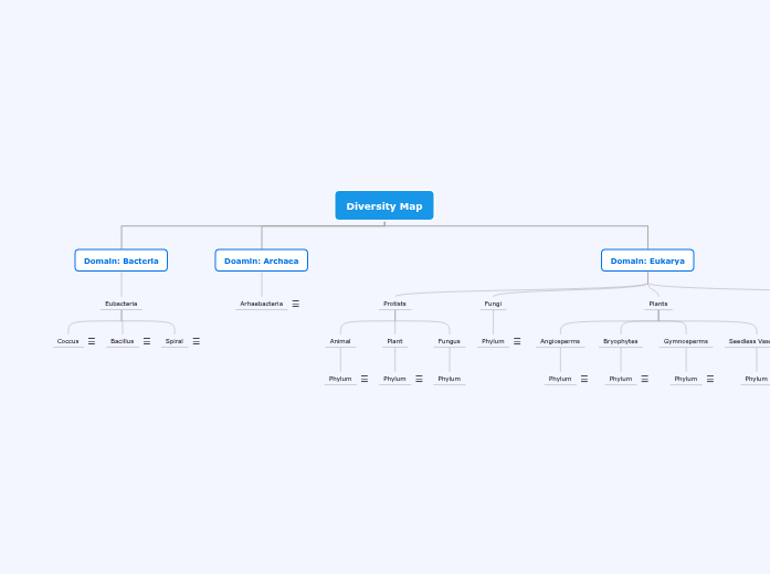 Diversity Map - Mind Map